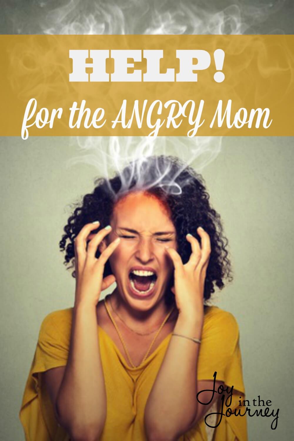 HELP! I'm an Angry Mom - Joy in the Journey