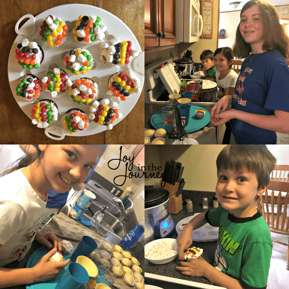 Our Favorite Projects from America the Beautiful - Joy in the Journey