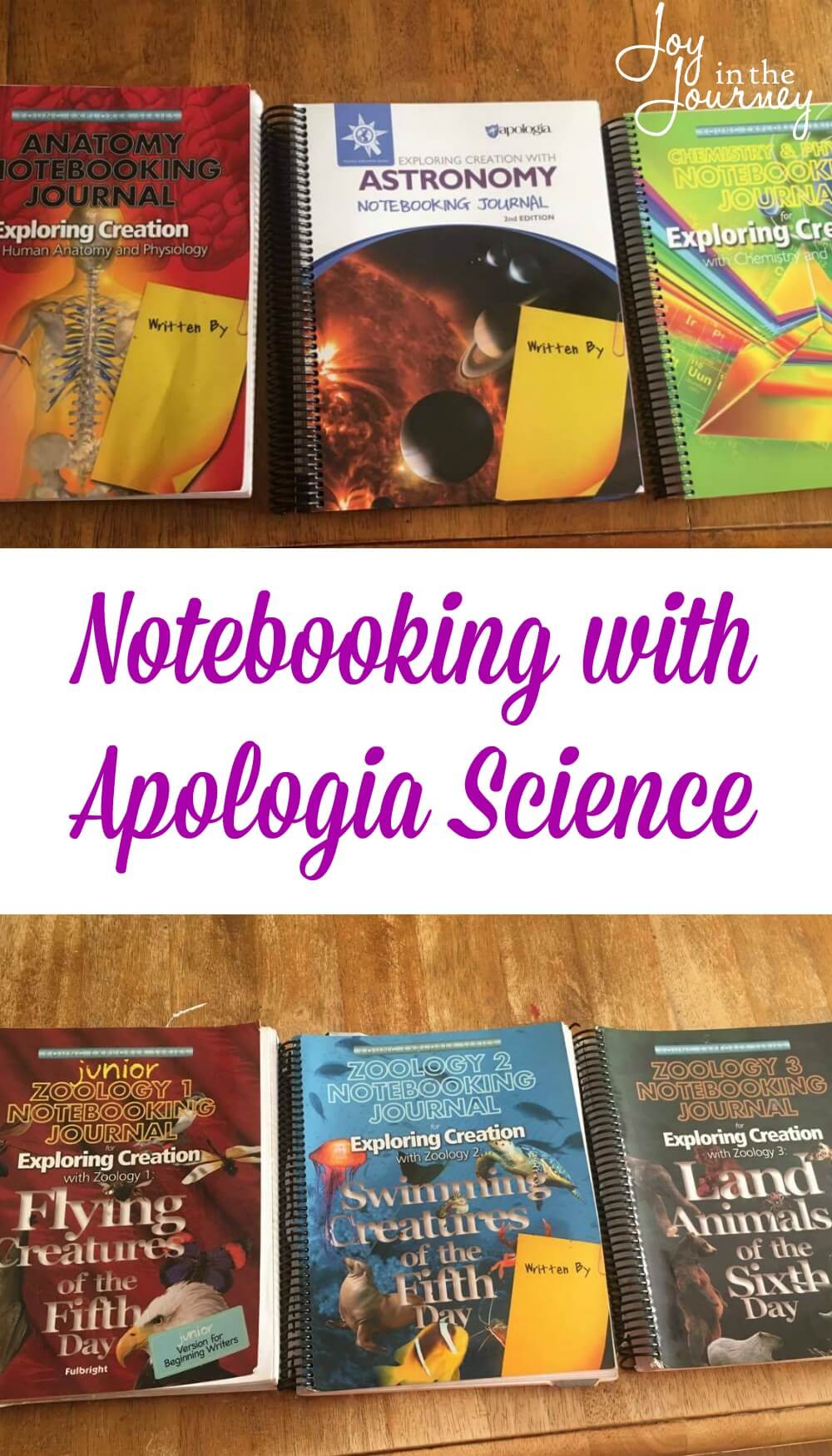 Notebooking with Apologia - Joy in the Journey