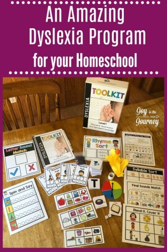 An Amazing Dyslexia Program for your Homeschool - Joy in the Journey
